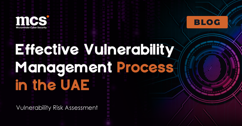 Strategies for Effective Vulnerability Management Process in the UAE | Microminder Cyber Security